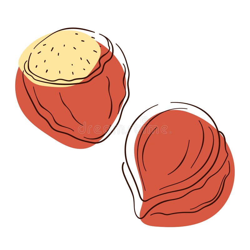 Hazelnut Icon in Line Art Style. Nut Flat Logo for Menu Design, Cafe ...