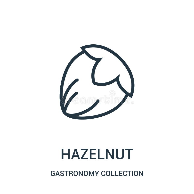 Hazelnut Icon Vector from Gastronomy Collection Collection. Thin Line ...