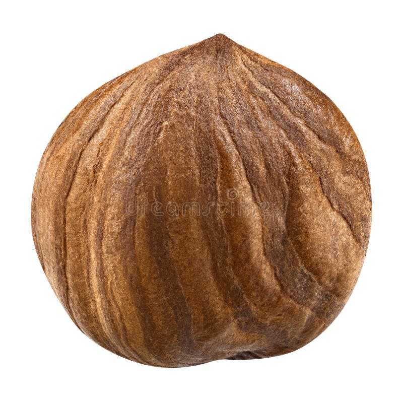 101 Hazelnut Extreme Stock Photos - Free & Royalty-Free Stock Photos ...