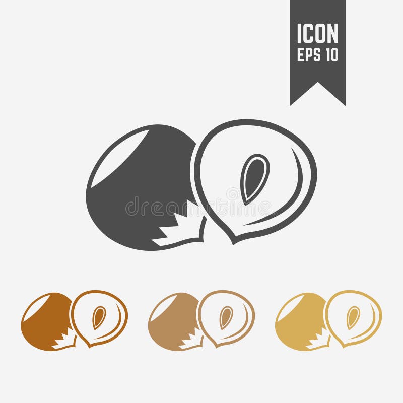 Hazelnut Isolated Vector Icon Stock Vector - Illustration of food ...