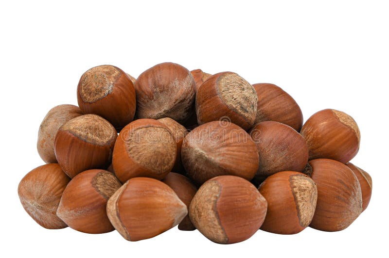 Hazelnut Heap Top View Isolated on White Background. Pile of Hazelnuts ...