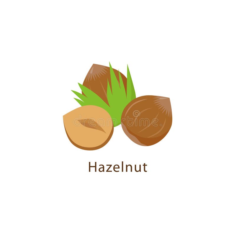 Hazelnut Isolated Nut of Hazel Tree Emoji Emoticon Stock Vector ...