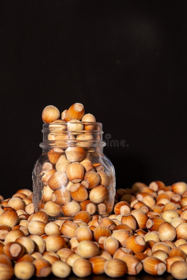 Hazelnut in a Jar. Lots of Hazelnuts. Bank with Nuts on a Black ...
