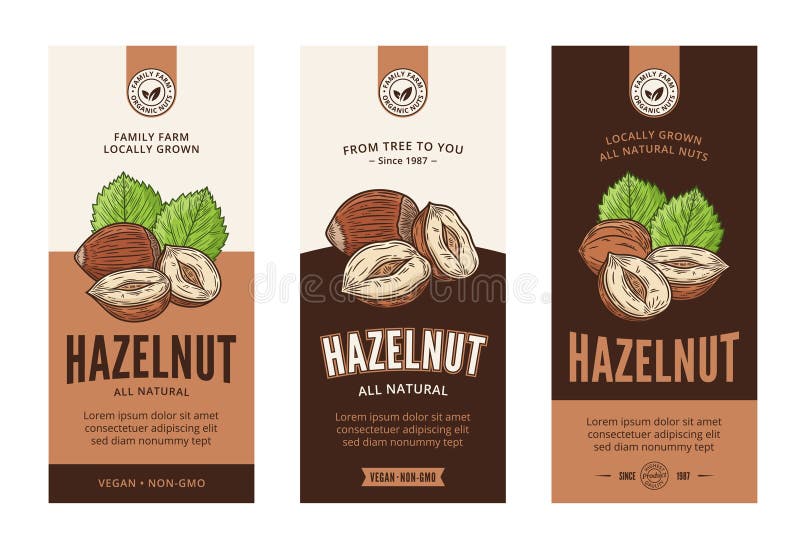 Hazelnut Labels in Modern Style Stock Vector - Illustration of ...