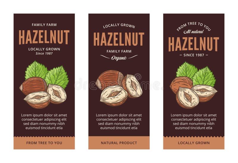 Hazelnut Labels in Modern Style Stock Vector - Illustration of ...