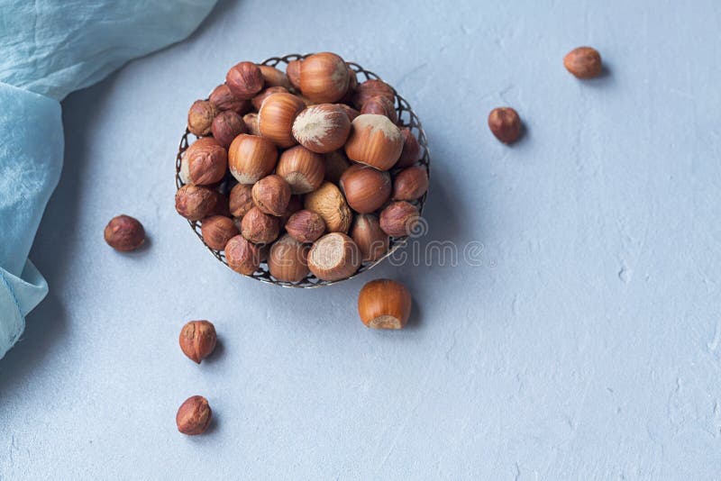 Hazelnut in Light Blue Background. Stock Image - Image of rustic, husk ...
