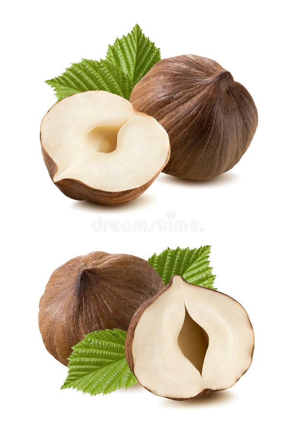 Peeled Hazelnut Groups Isolated on White Background. Plain Nuts with ...