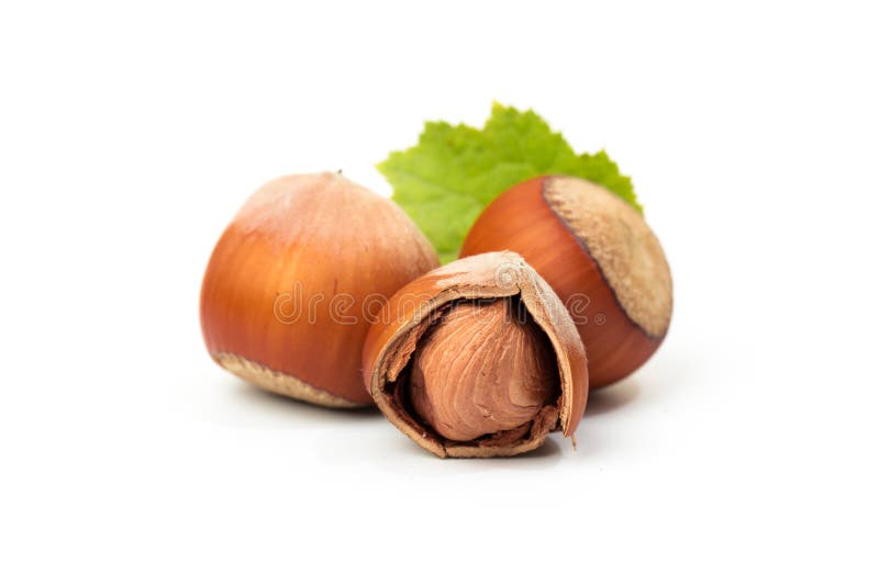Hazelnut Nut Many Leaves Isolated on a White Background As a Packaging ...