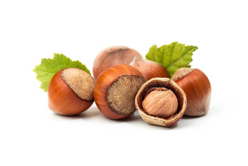 Hazelnut Nut Many Leaves Isolated on a White Background As a Packaging ...
