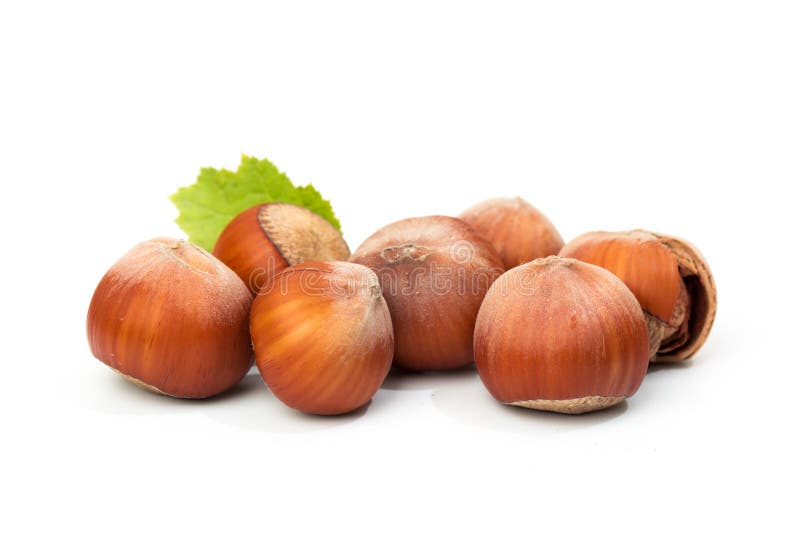 Hazelnut Nut Many Leaves Isolated on a White Background As a Packaging ...