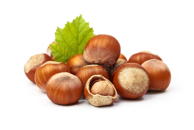 Hazelnut Nut Many Leaves Isolated on a White Background As a Packaging ...