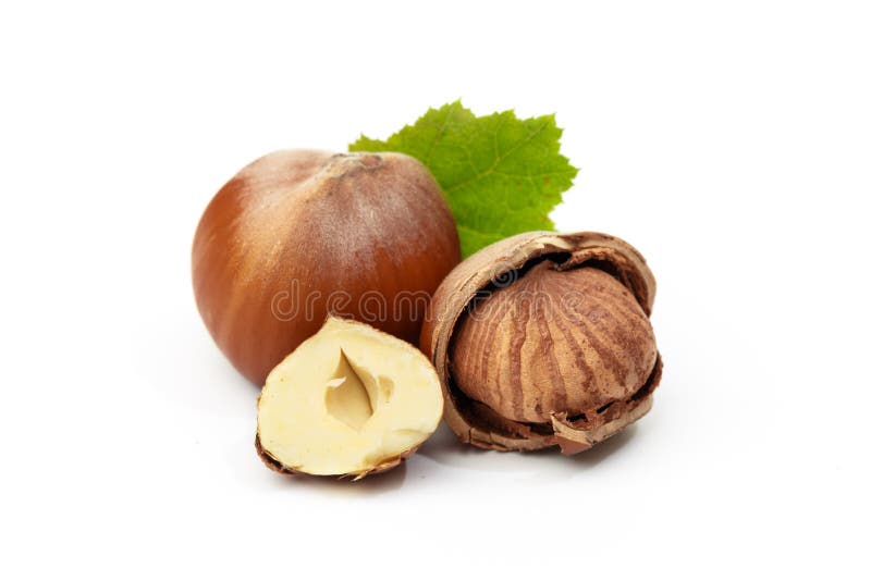 Hazelnut Nut Many Leaves Isolated on a White Background As a Packaging ...