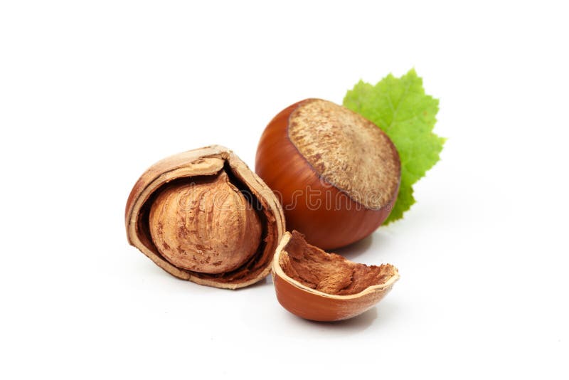 Hazelnut Nut Many Leaves Isolated on a White Background As a Packaging ...