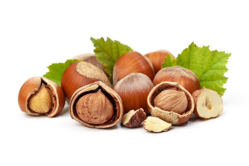 Hazelnut Nut Many Leaves Isolated on a White Background As a Packaging ...