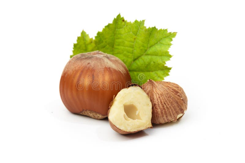 Hazelnut Nut Many Leaves Isolated on a White Background As a Packaging ...