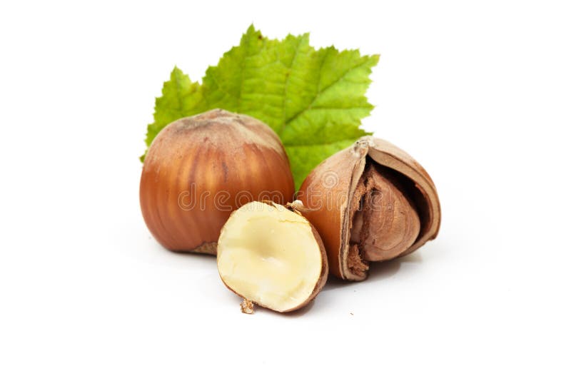 Hazelnut Nut Many Leaves Isolated on a White Background As a Packaging ...