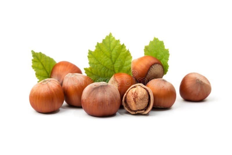 Hazelnut Nut Many Leaves Isolated on a White Background As a Packaging ...