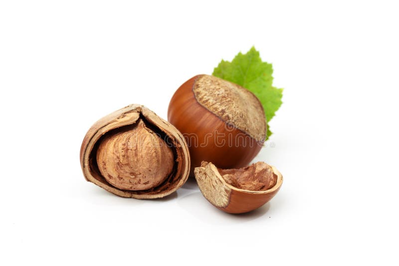 Hazelnut Nut Many Leaves Isolated on a White Background As a Packaging ...