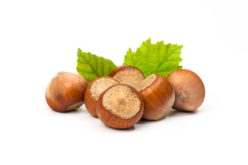 Hazelnut Nut Many Leaves Isolated on a White Background As a Packaging ...