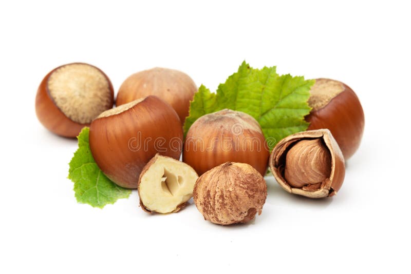 Hazelnut Nut Many Leaves Isolated on a White Background As a Packaging ...
