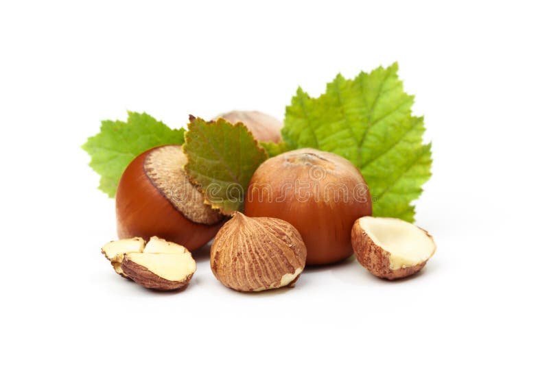 Hazelnut Nut Many Leaves Isolated on a White Background As a Packaging ...