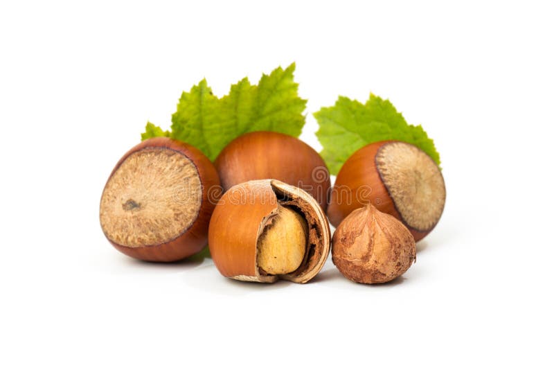 Hazelnut Nut Many Leaves Isolated on a White Background As a Packaging ...