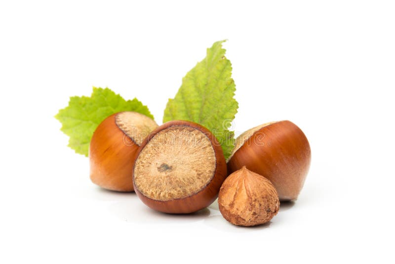 Hazelnut Nut Many Leaves Isolated on a White Background As a Packaging ...