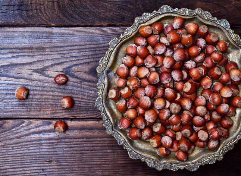 Hazelnut Nut in Shell on an Iron Copper Plate Stock Image - Image of ...