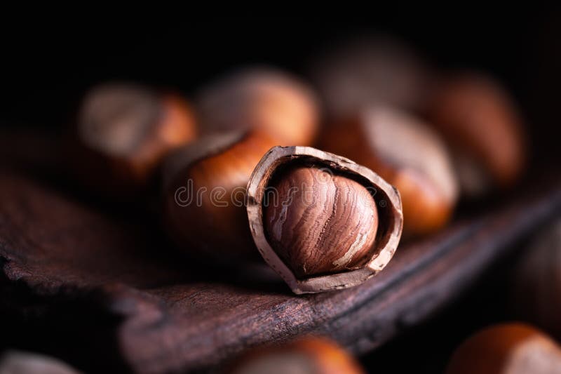 Cracked Hazelnut with Kernel Inside Stock Photo - Image of organic ...