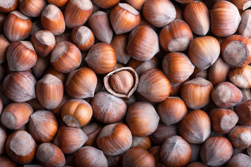 Hazelnut Nuts Heap with One Broken Nut Stock Photo - Image of nature ...