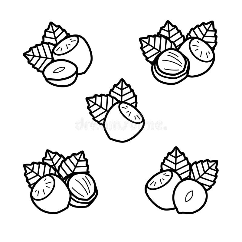 Hazelnut Nuts Set. Collection Icon Hazelnut Nuts Stock Illustration ...