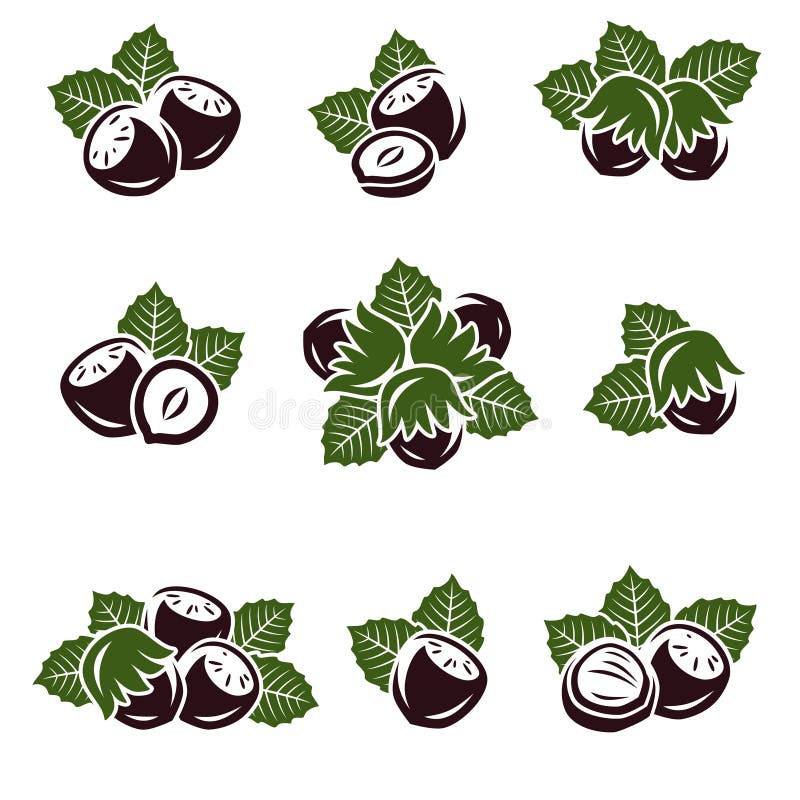 Hazelnut Nuts Set. Collection Icon Hazelnut Nuts Stock Vector ...