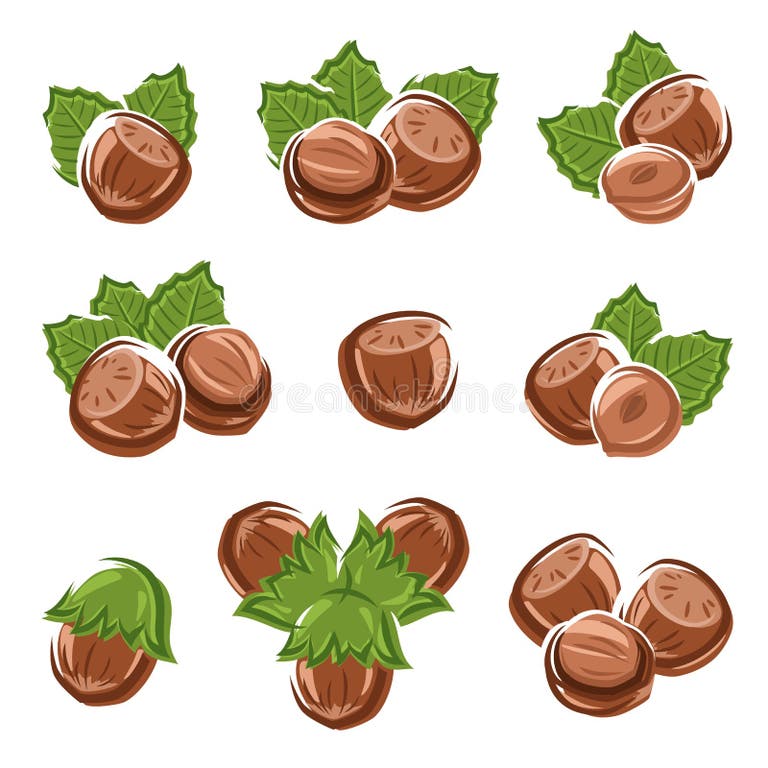 Hazel Tree Icon Stock Illustrations – 323 Hazel Tree Icon Stock ...