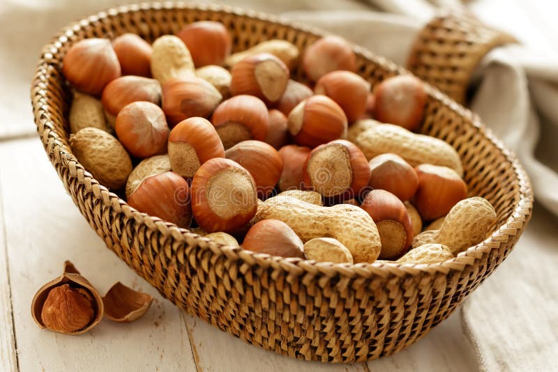 Hazelnut and peanut stock photo. Image of harvest, kernel - 29549284