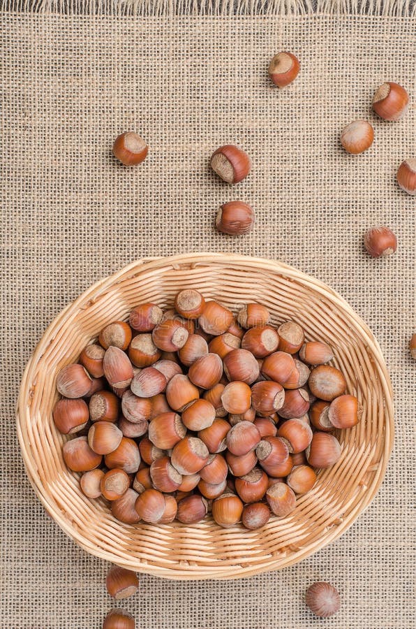 Hazelnut in Peel on a Light Burlap. Stock Photo - Image of hazelnut ...