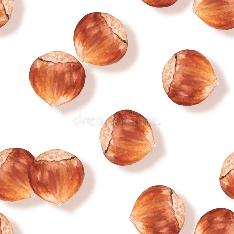 Hazelnut. Seamless Pattern with Nuts Stock Photo - Image of healthy ...