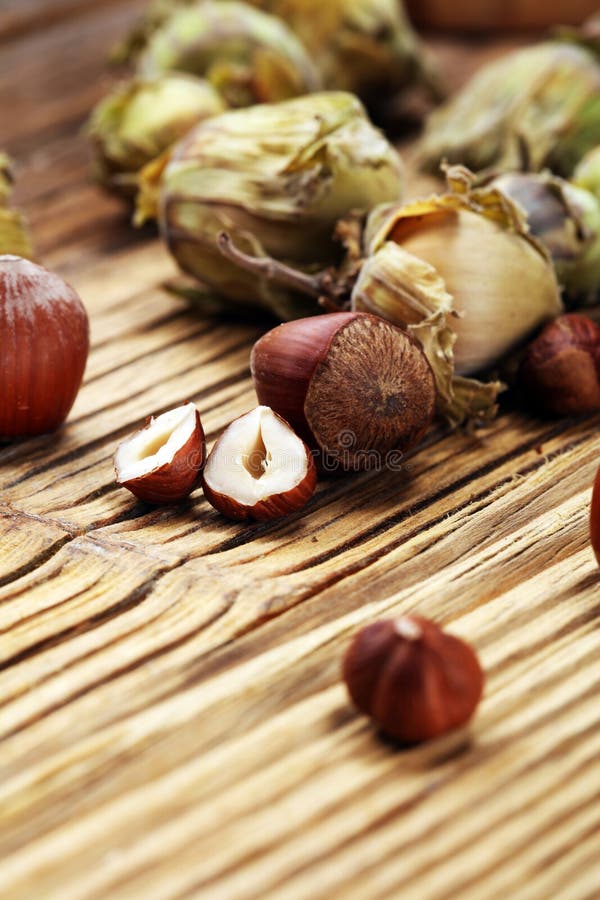 Hazelnut with Shell and Craked and Hazelnut Leaves. Stock Photo - Image ...