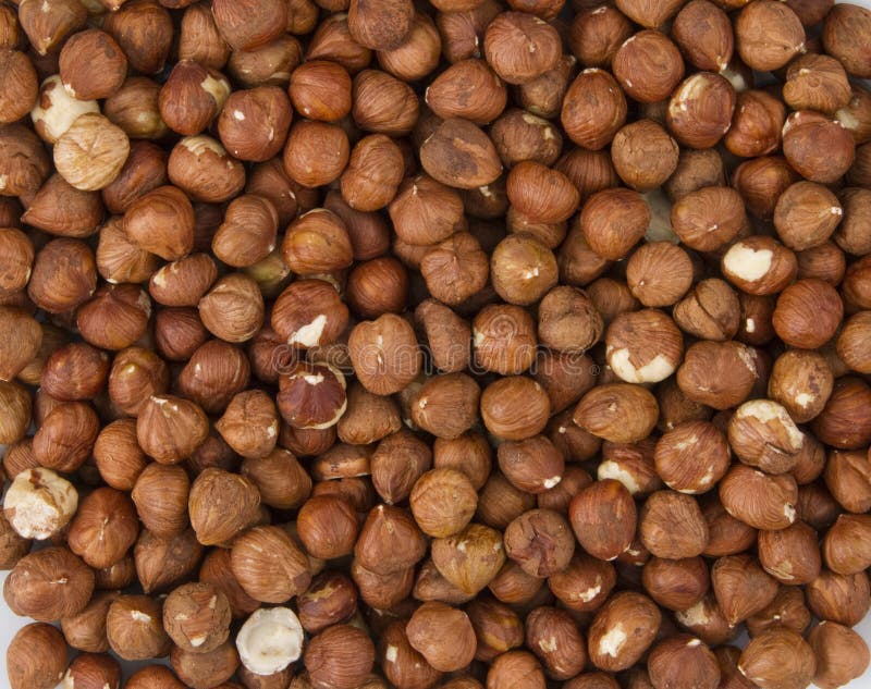 Hazelnut texture stock photo. Image of baking, healthy - 24552596