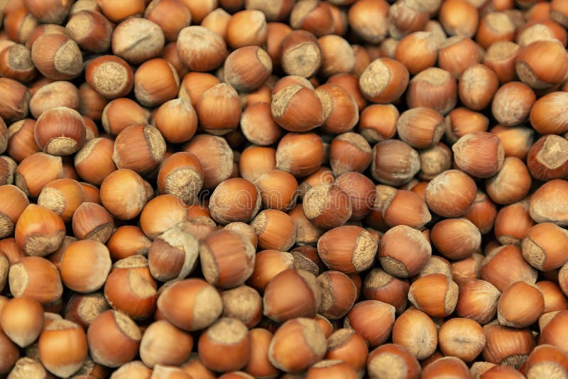 Hazelnut texture stock image. Image of baking, calories - 2613037