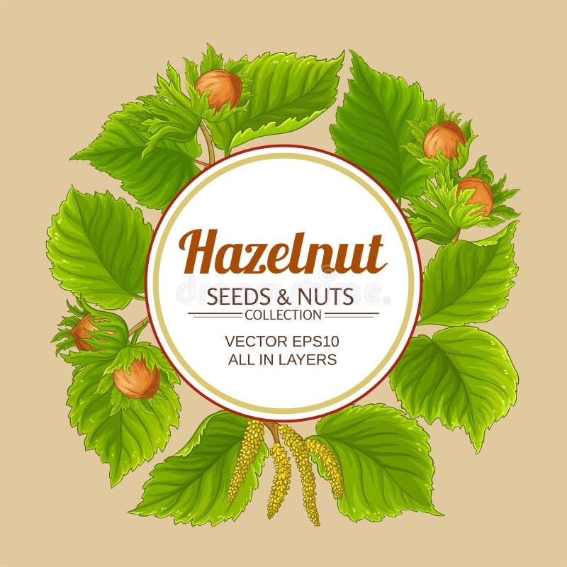 Hazelnut Flower Stock Illustrations – 580 Hazelnut Flower Stock ...