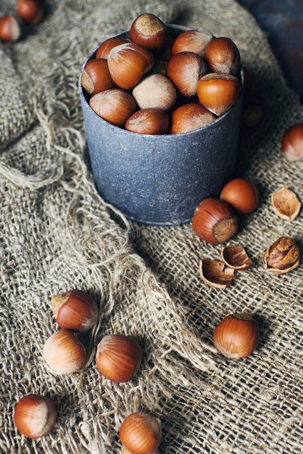 Hazelnut in a vintage box stock photo. Image of pecan - 176455628
