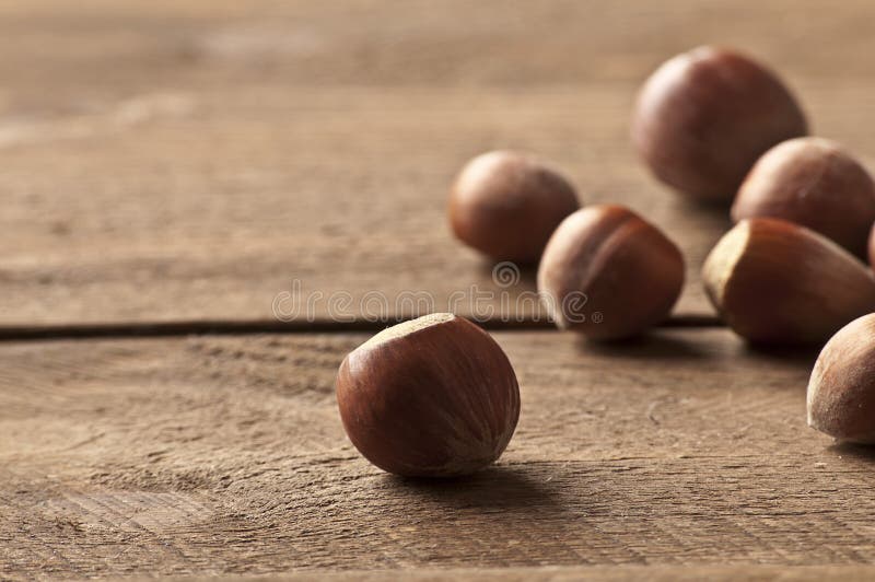 Hazelnut on wood stock image. Image of group, eating - 41206259