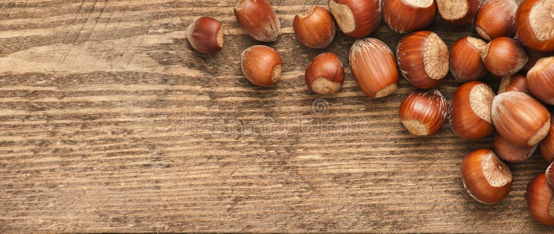 Hazelnut on wood stock image. Image of hazelnut, wood - 41531083