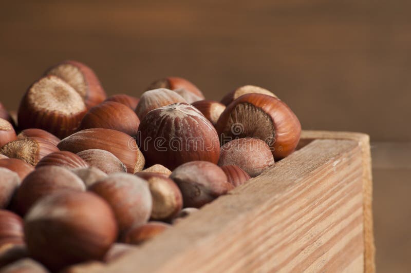 Hazelnut in wooden box stock image. Image of brown, shot - 46508311