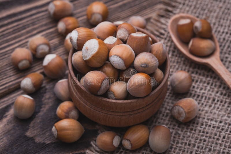 Hazelnut on a wooden table stock image. Image of hazelnut - 43912609