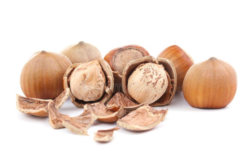 Hazelnuts stock image. Image of nutrition, health, pile - 1251539