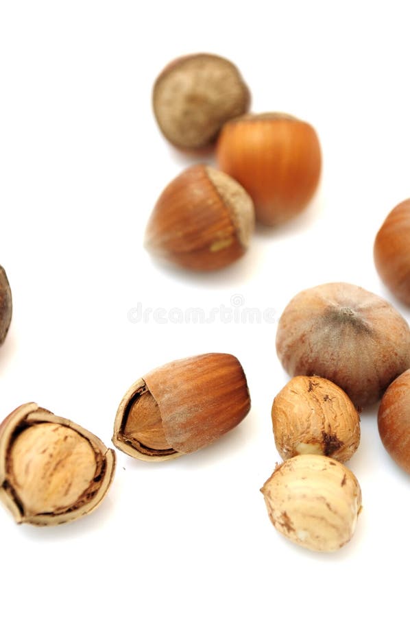 Hazelnuts stock photo. Image of background, life, healthy - 12748024
