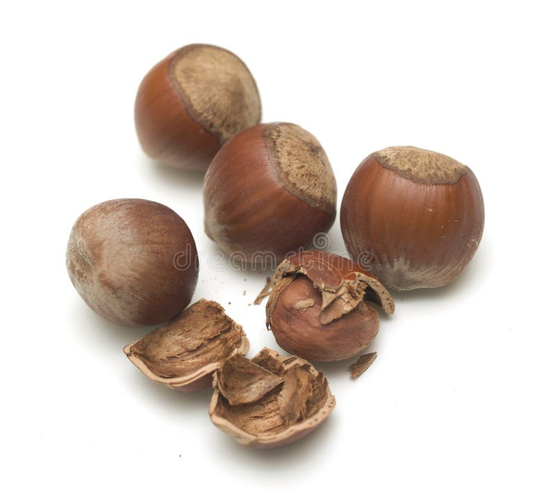 Group of hazelnut stock image. Image of isolated, fruits - 34876575