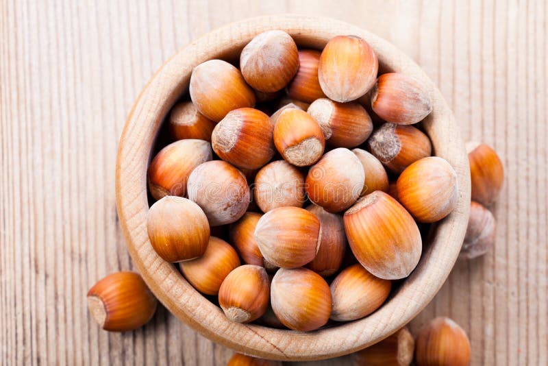Hazelnuts stock photo. Image of heap, plant, hazel, wooden - 22145872