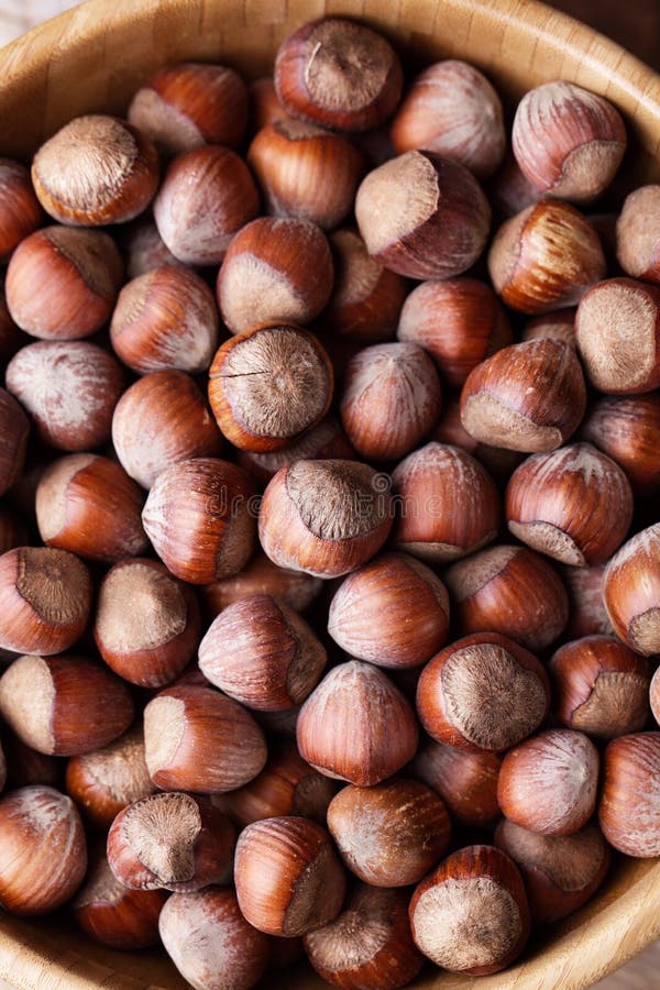 Hazelnuts stock photo. Image of hazelnuts, heap, bowl - 29168116